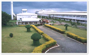 Overview - Classic Industries and Exports Ltd.